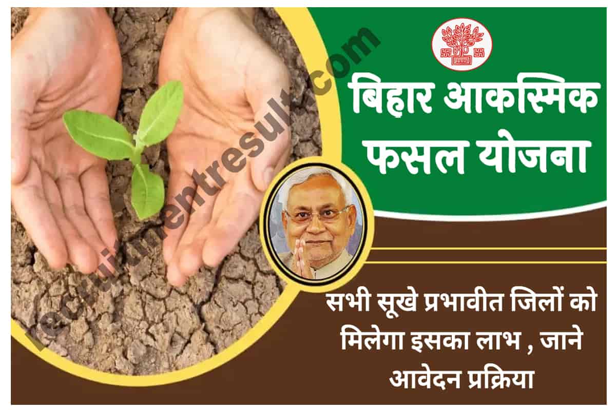 Akasmik Fasal Yojana 2023: इस राज्य की सरकार दे रही बीज खरीदने पर 50% ...
