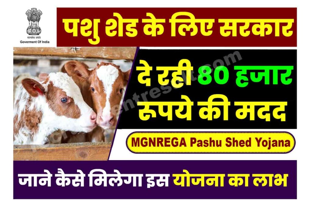 MGNREGA Pashu Shed Yojana 2023: पशु शेड के लिए सरकार दे रही 80 हजार ...
